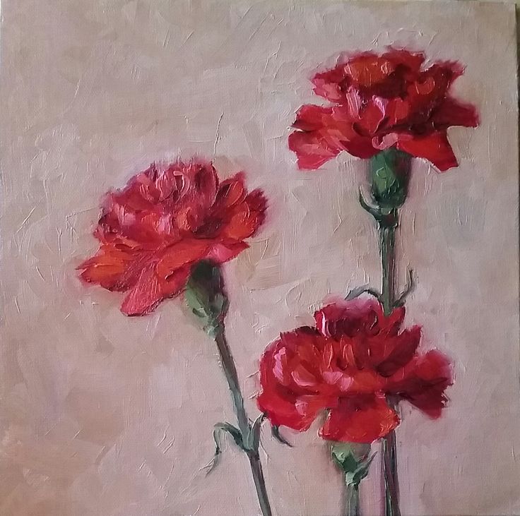 CARNATIONS – FREED VERSE